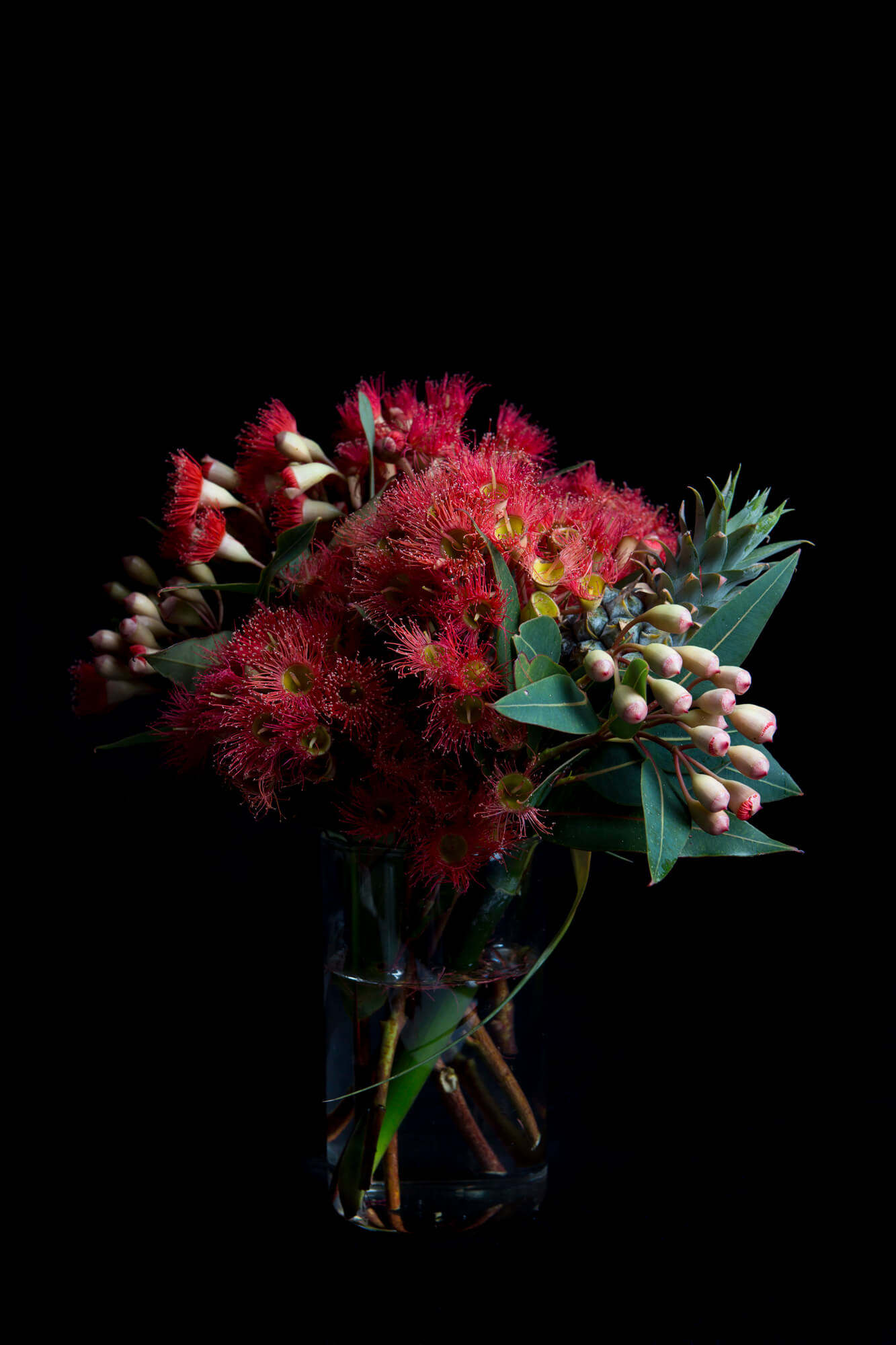 FLOWERING GUM II – Creo Collective