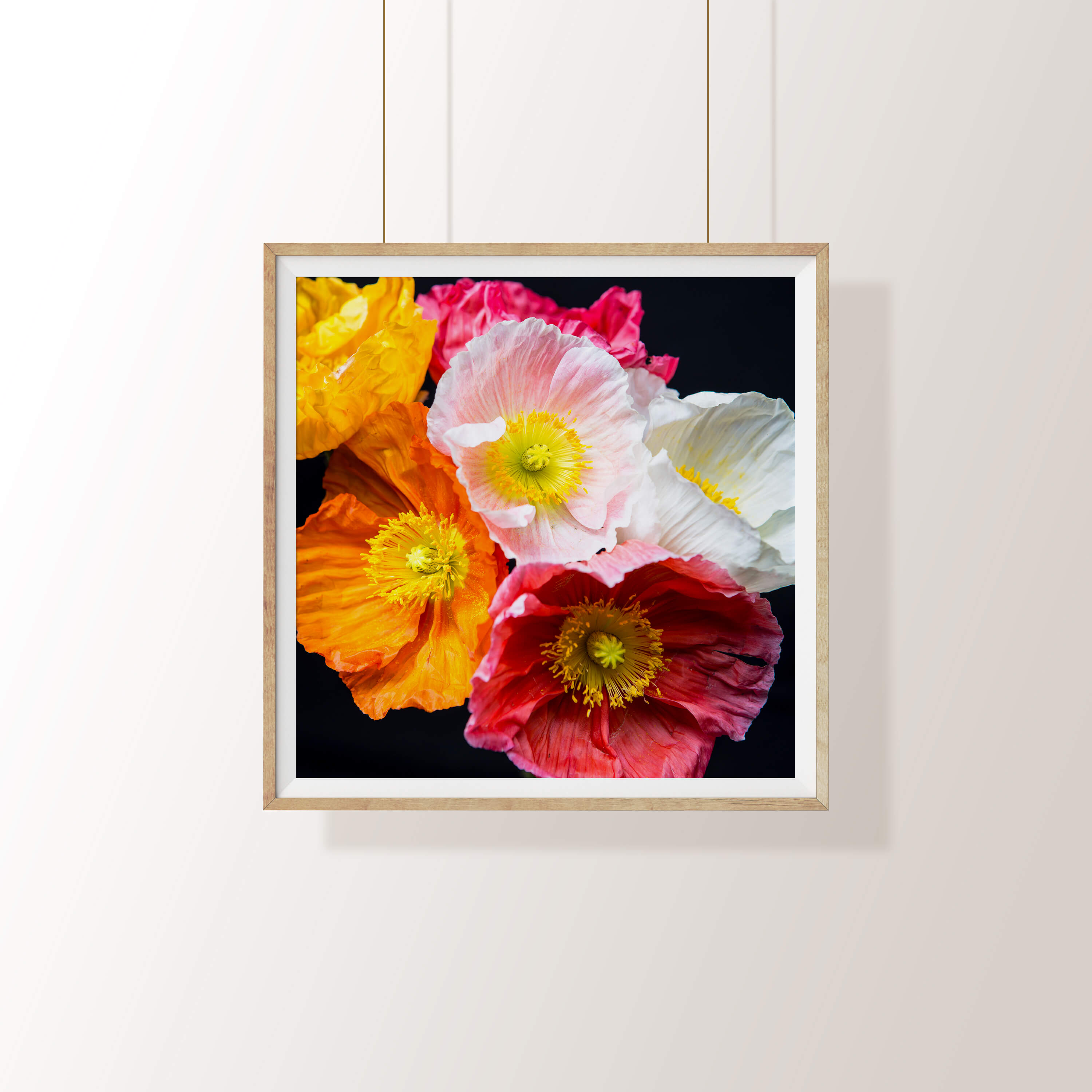 POPPY V – Creo Collective